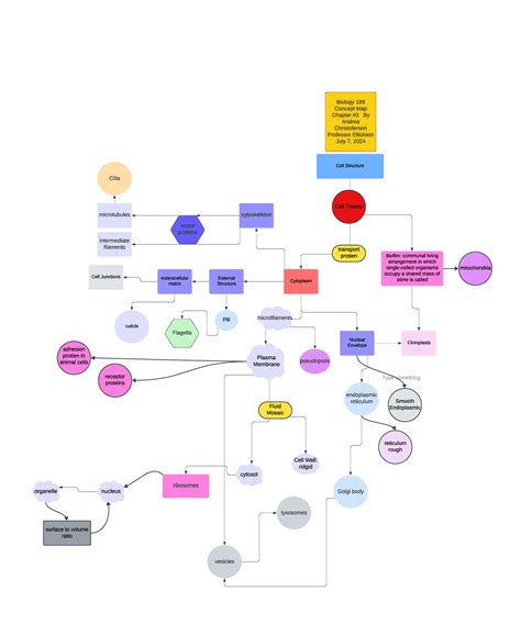 Chp 3 Concept Map Cells Structure And Its Relation Cell Structure Cytoplasm Plasma Membrane