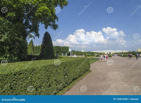 Shaved Bush Stock Photos Free Royalty Free Stock Photos From Dreamstime