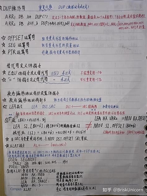 大学汇编语言基础知识笔记 知乎
