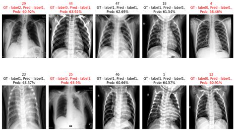 Pytorch Skeleton Code For Binary And Multi Class Classification Punn S Deep Learning Blog