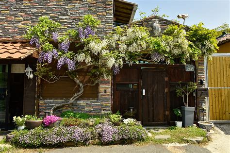 인생은 소풍처럼