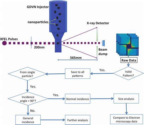 scheme of the experimental setup and data analysis flow download