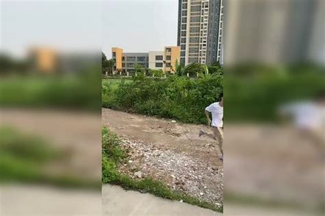 不听老妈言，吃亏在眼前