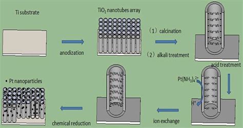 Scheme 1 Schematic Of The Preparation Of Pt Tio2 Nta Electrode Download Scientific Diagram