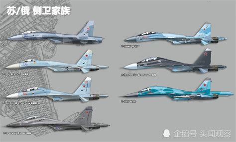 苏27家族谱系图家族谱系图 伤感说说吧