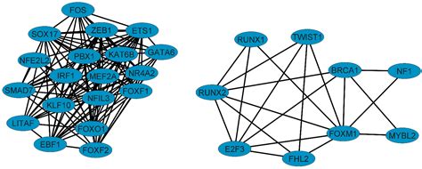 Identification Of The Transcriptional Regulatory Role Of Runx2 By Network Analysis In Lung