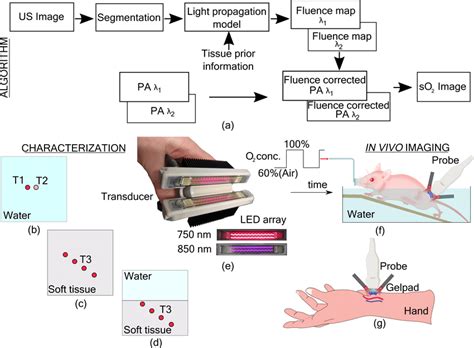Algorithm And Experimental Setup A Fluence Compensation Algorithm Download Scientific