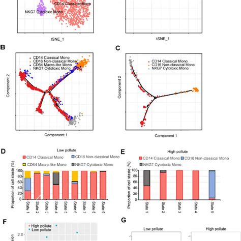 Cadmium Reduces Monocyte Subset Heterogeneity A The Focused Analysis