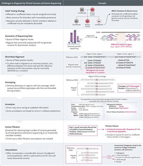 Next Generation Sequencing Workflow