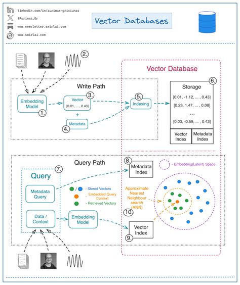 Data Science Reality On Linkedin Vector Databases Your Gateway To