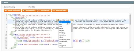 Using The Syntax Highlighter Plugin Company Knowledge Base