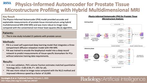 physics informed autoencoder for prostate tissue microstructure