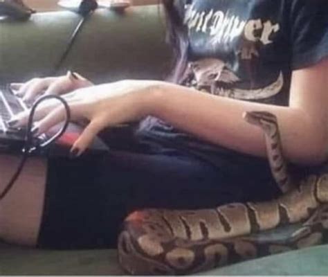 When Python Is Checking Your Code Itself GAG