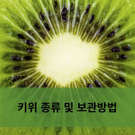 키위 종류 및 보관방법 총정리