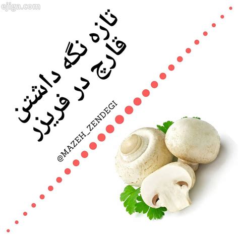 خانواده خانه زن زندگی نکات خانه داری نکات همسر داری خانه داری همسر داری