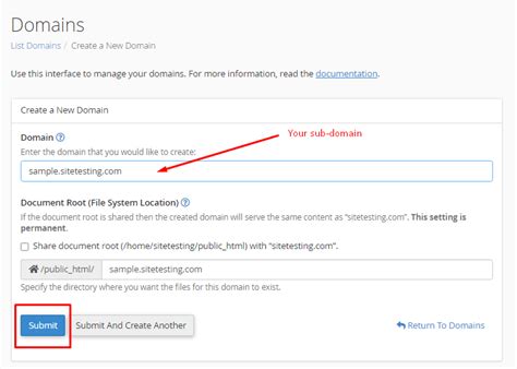 Step By Step Guide To Create A Subdomain In CPanel SeekaHost