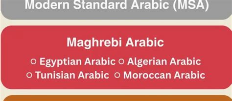 Arabic Dialects Explained A Complete Guide For Language Learners Strømmen Language Classes