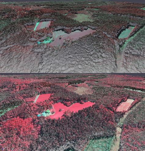 Tuominen S Balazs A Et Al 2020 Comparison Of Photogrammetric Canopy Models From Archived