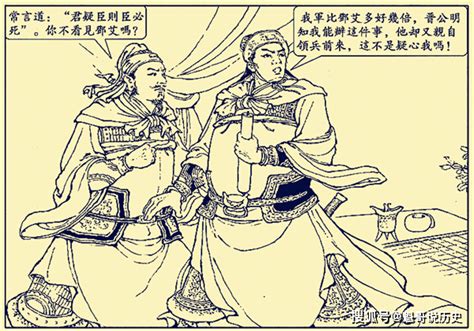 灭蜀之战，姜维一计害三贤，背后司马昭其实下了一局大棋 搜狐大视野 搜狐新闻