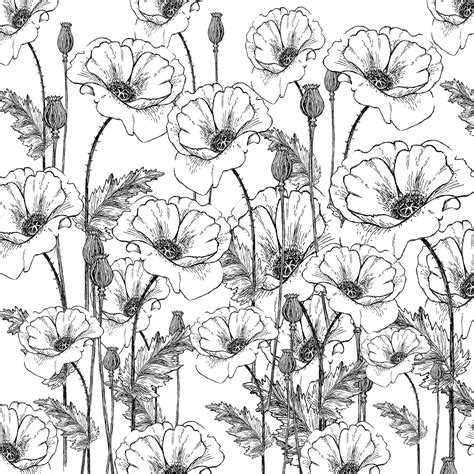 Poppies Field On Behance