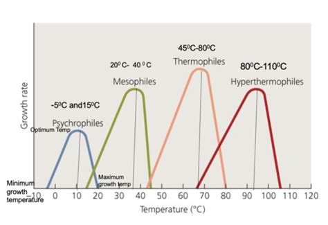 Microbio Chapter Microbial Nutrition And Growth Flashcards Quizlet