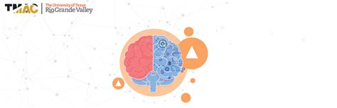 Web UX UI Design Behance