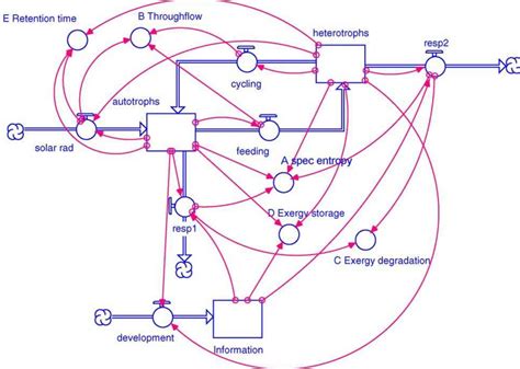 Conceptual Diagram Of Ecosystem Model Using Stella Software