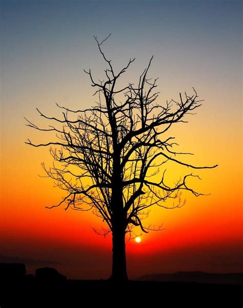 Scikit Learn 패키지를 활용한 단순회귀모형과 중회귀모형