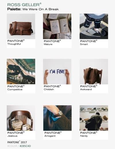 Ross Chandler Phoebe Monica Rachel Joey Tumbex