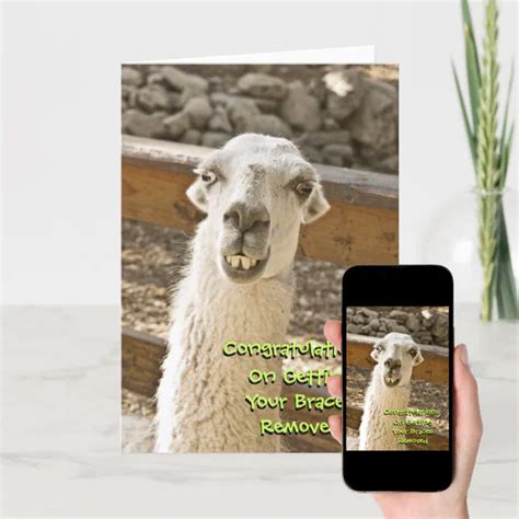Congratulations Braces Off Llama Card Zazzle