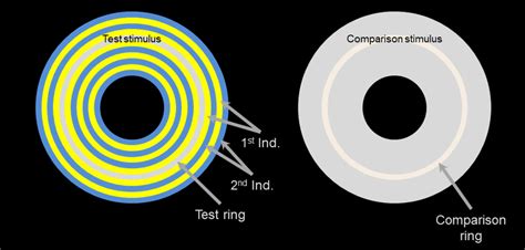 Spatial Configuration Of The Stimuli With 11 Stripes Subjects Had To