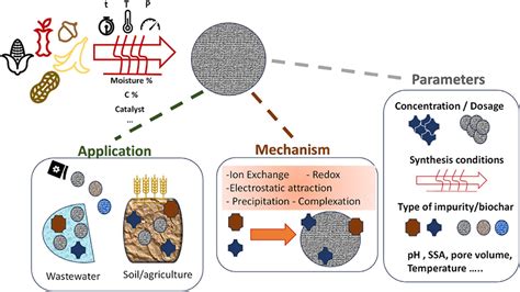Exploring Biochar With Machine Learning For Environmental Management Biochar Today