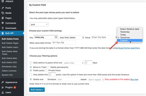 Bulk Delete Posts By Custom Field Bulk WP