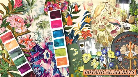 Blog - Botanical Secrets