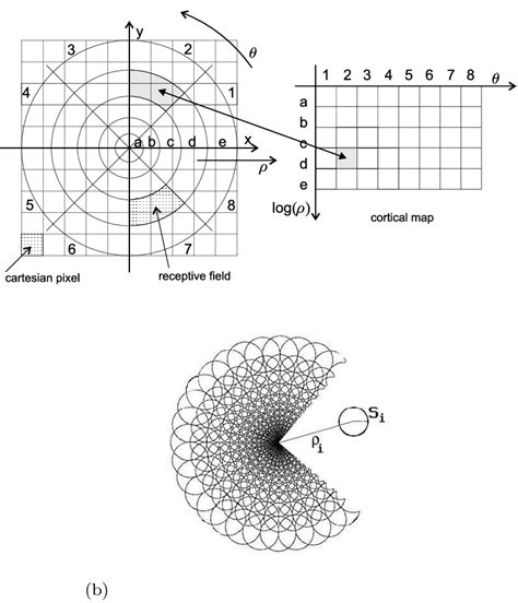 a log polar sampling for cartesian image remapping and b discrete