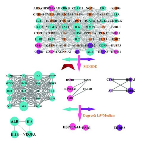 ppi network of intersection targets download scientific diagram