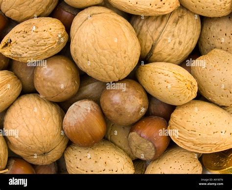 A Selection Of Nuts In Their Shells Stock Photo Alamy