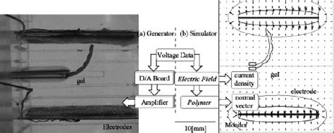 Simulator And Generator Of The Electrochemical Field Download Scientific Diagram