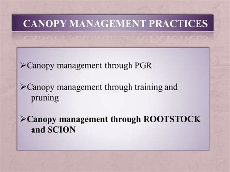 Canpoy Classification And Canopy Management Through Rootstock And Scion Pptx