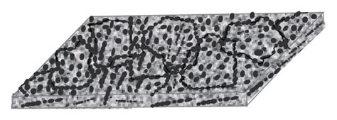 The Schematic Diagram Of Tio2 Ta2o5 Nt Or Tio2 Moo3 Nt Film Structure Download Scientific