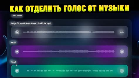 Как удалить голос из песни и наоборот? Обзор EaseUS Vocal Remover - YouTube