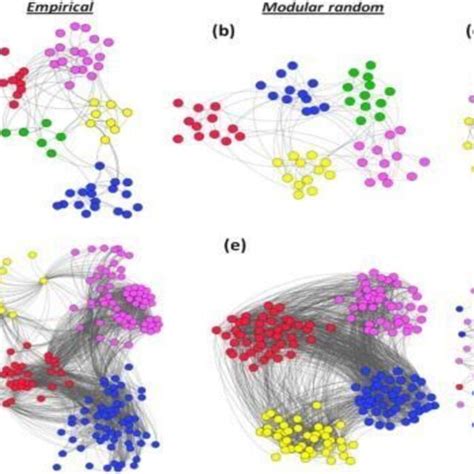 Simple View Of Complex Biological Networks 41 A Empirical Network Download Scientific