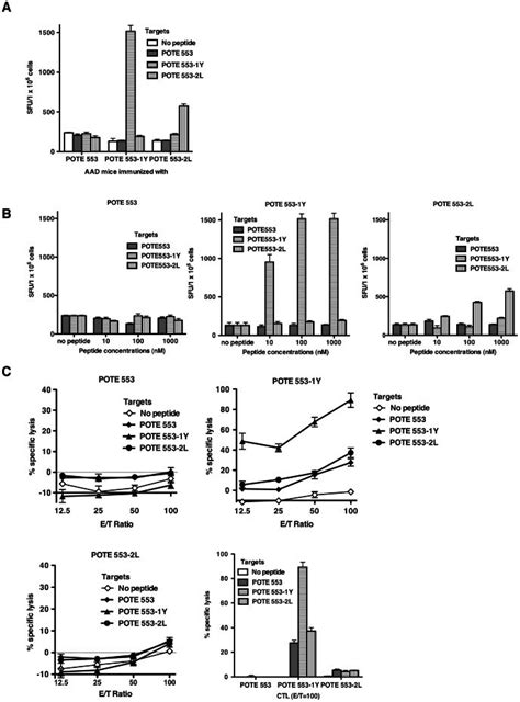 Aad Mice Were Immunized S C With A Mixture Of Peptide And Cytokines In Download Scientific