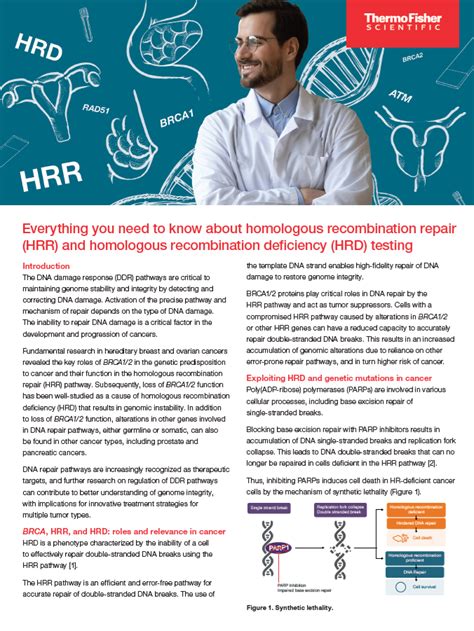 Everything You Need To Know About Hrr And Hrd Testing