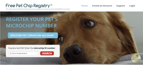 5 Steps To Take Today When Your Microchipped Pet Goes Missing First