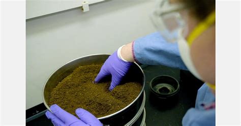 Us New Hemp Reference Material Will Help Ensure Accurate Cannabis Measurements