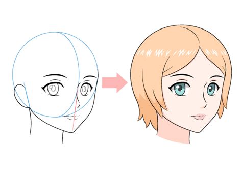 How To Draw Female Anime Face Front View