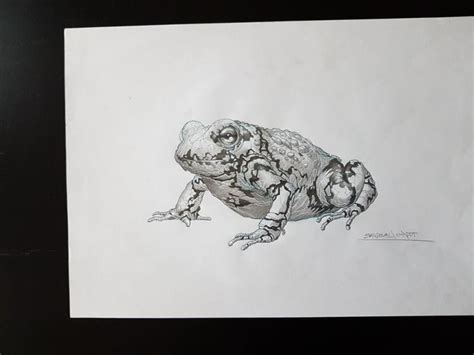 Pans Labyrinth 2006 Pre Concept Art The Toad