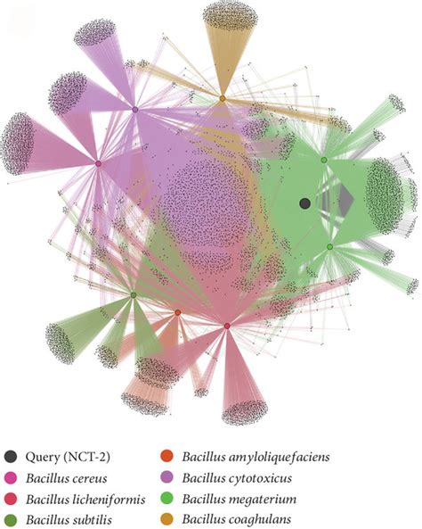 Functional Similarity Networks Analysis By Fusion A Functional