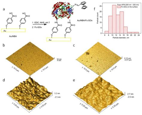 Article Mdpi Glucose Enzyme Electrical Biosensors Sensors Openaccess Abstract